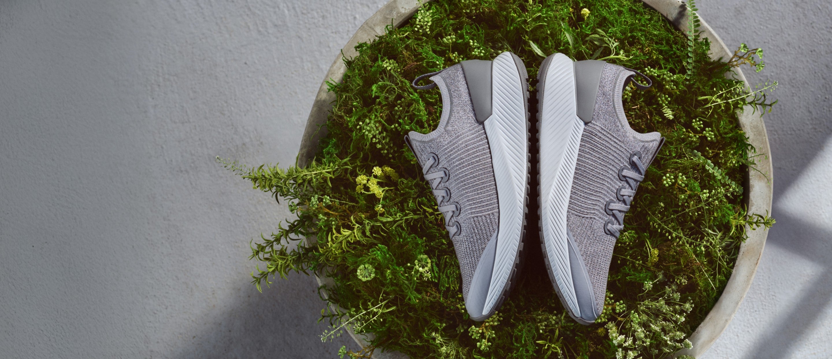 Allbirds | Official UAE Store | Sustainable Shoes for Men & Women ...